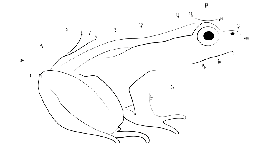 Frog Curriculum for preschool teachers